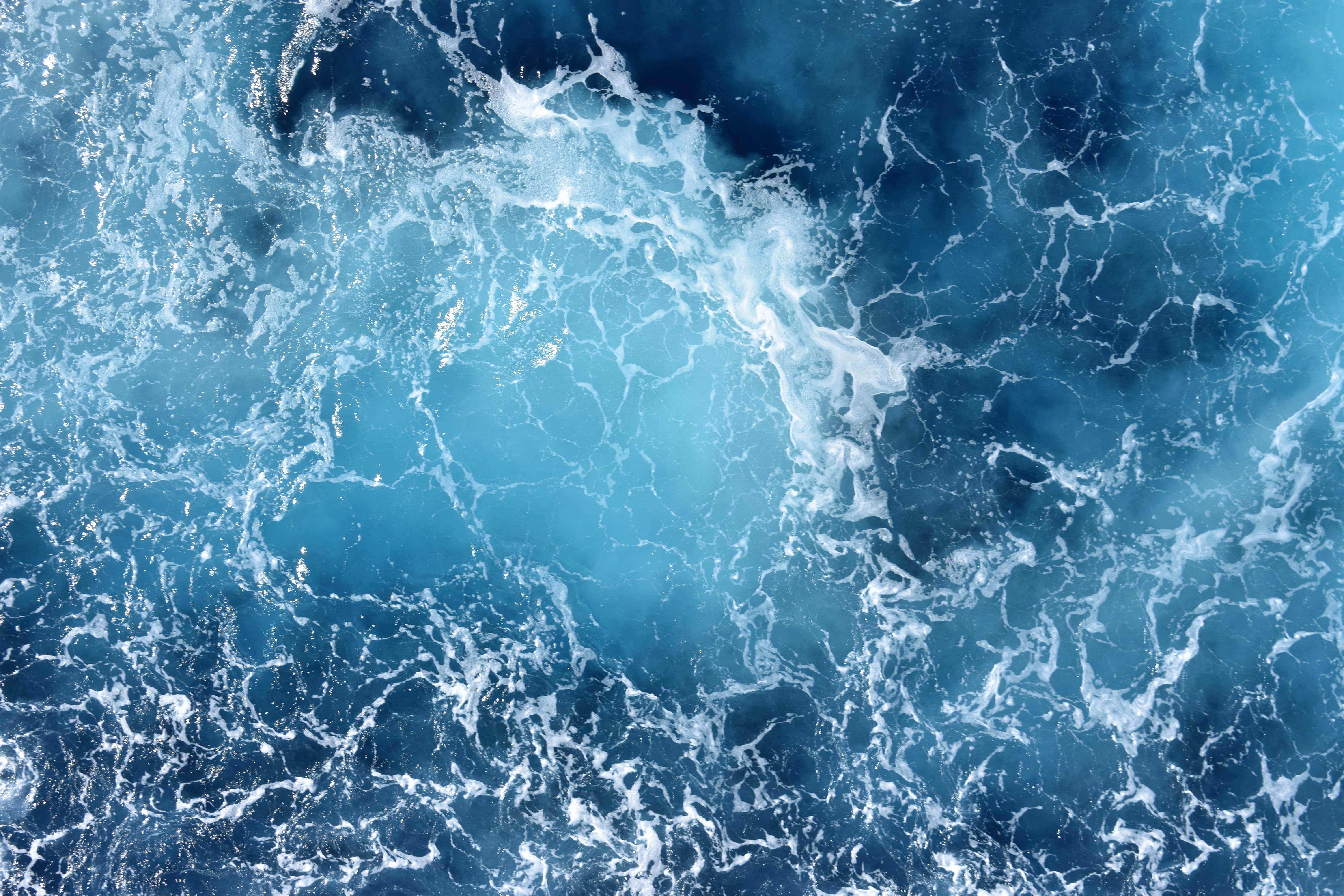 Aplica una estrategia océano azul y transforma tu negocio | OBS ...