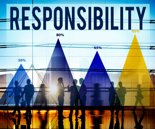 Lista de roles y responsabilidades de proyecto | OBS Business School